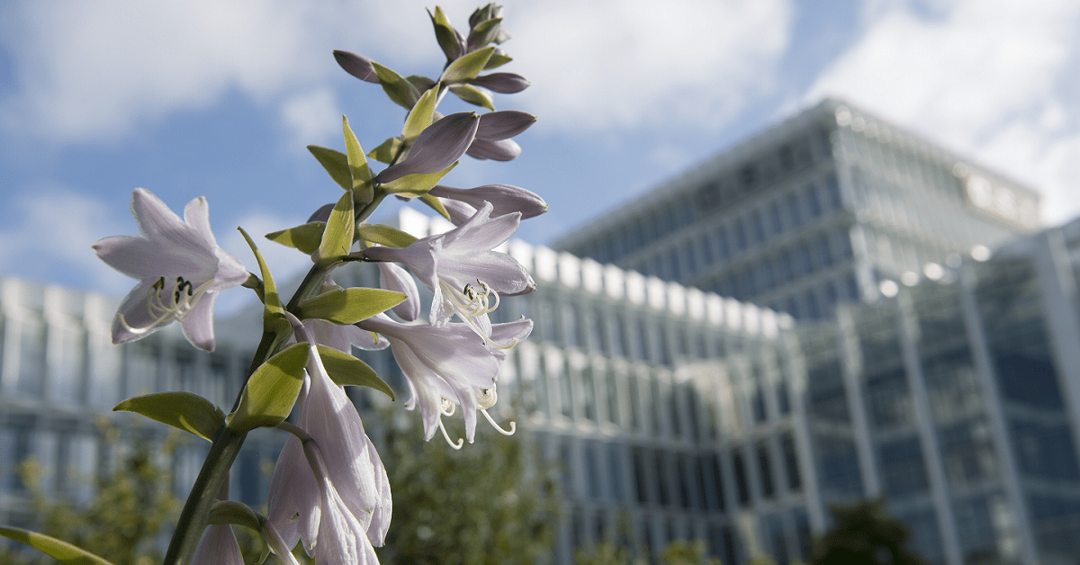 Met energie weer scherper aan het werk door sabbatical